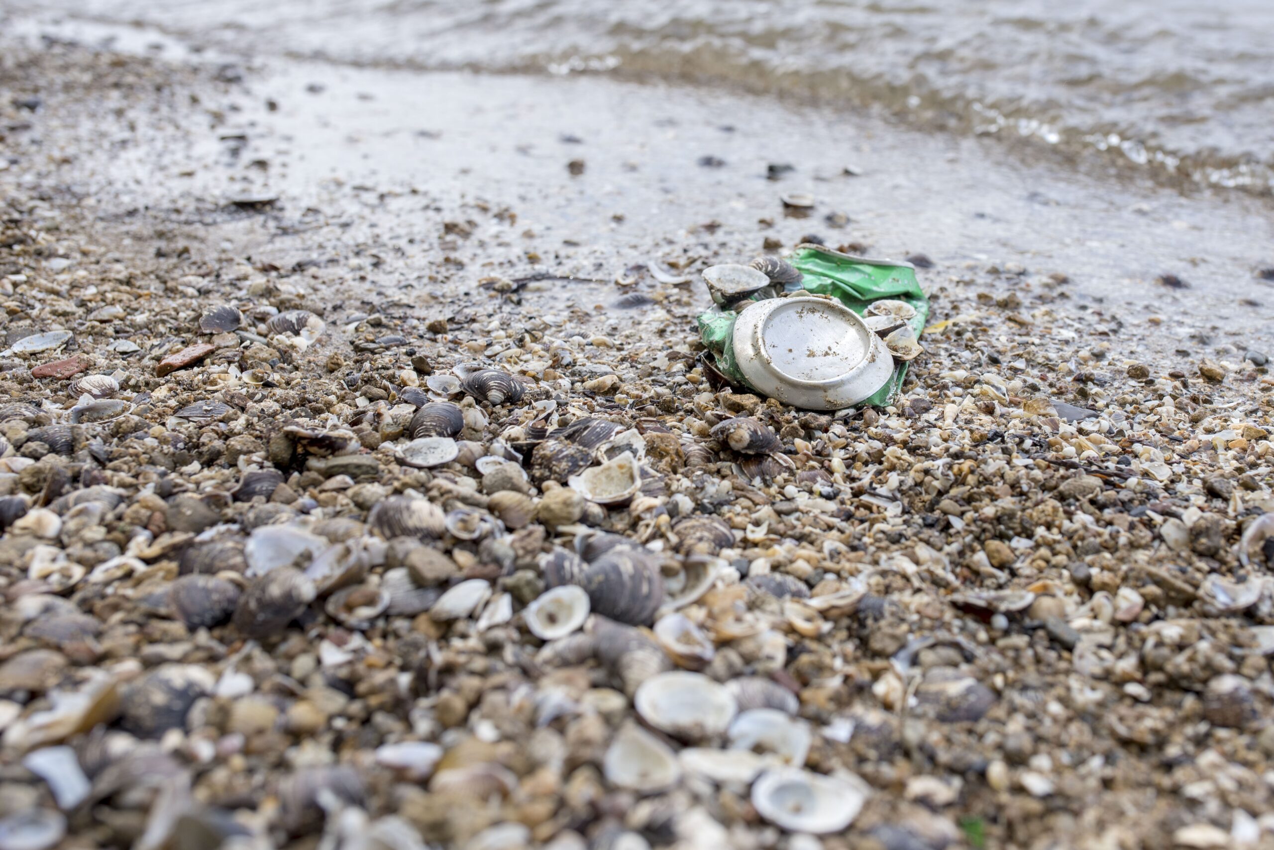 Common Beach Injuries: Cuts, Stings, and Sprains - Atracare - Premiere ...